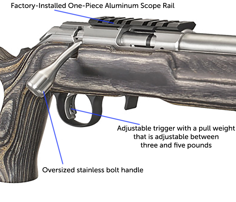 New Stainless Ruger American Rimfires - International Sportsman