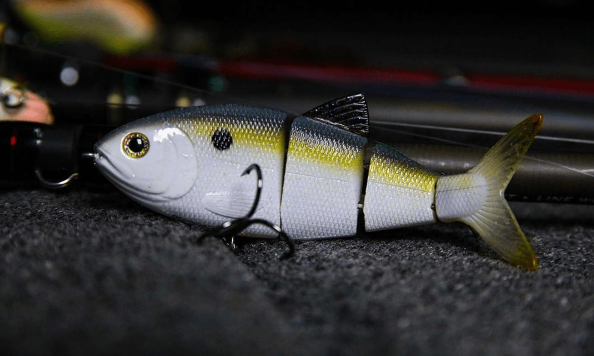 SPRO BBZ Swimbaits Produce Big Bass - International Sportsman